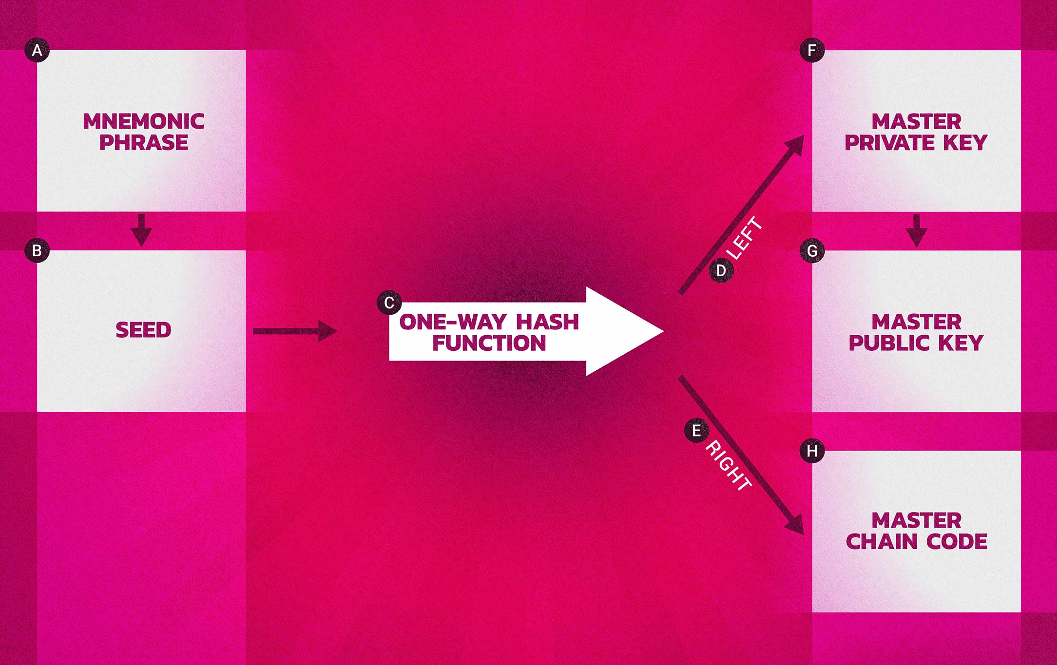 HD Wallets | weteachblockchain.org